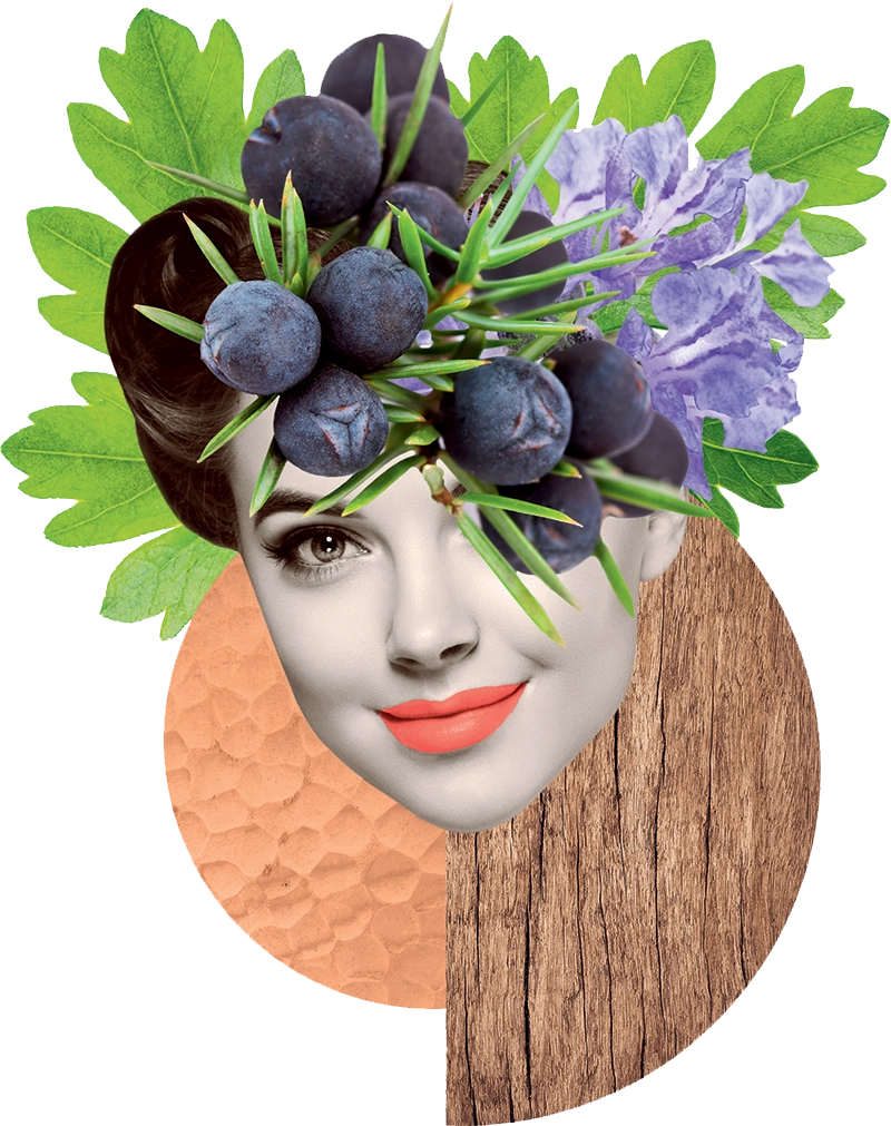 Gin Sans Alcool 0.0% • 0 Sucre SoberGin • BLUFFANT • Sober Spirits